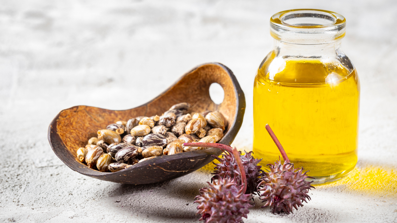 Propiedades y usos del aceite de ricino – Nuestro Origen