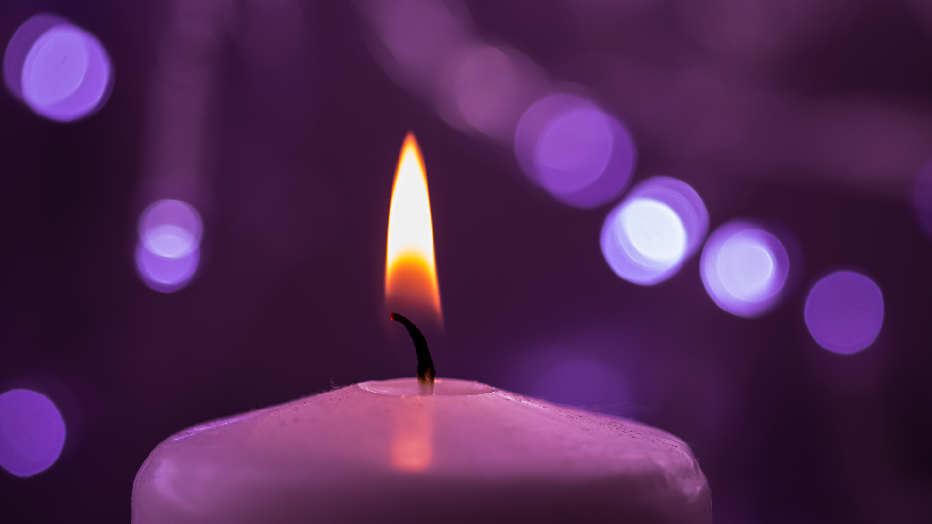Todo lo que necesitas saber sobre velas moradas para hacer rituales ...